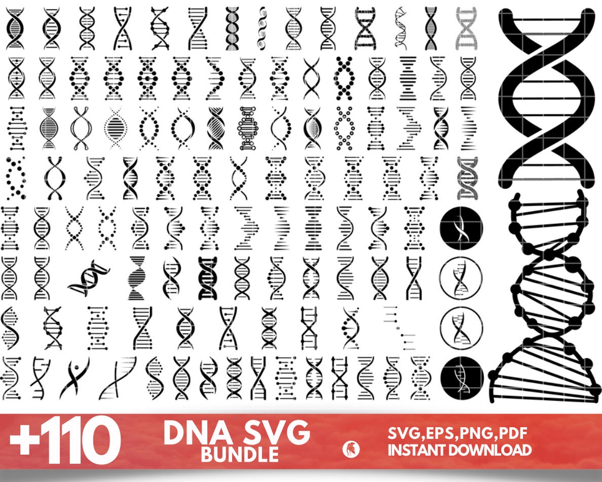 110 Dna SVG Bundle, Dna Dxf, Dna Png, Dna Eps, Dna Clipart, Dna Vector ...