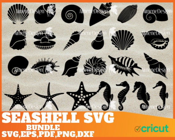 SEASHELL SVG / Seashells Svg / Seashell Svg File / Ocean Svg / - Etsy ...