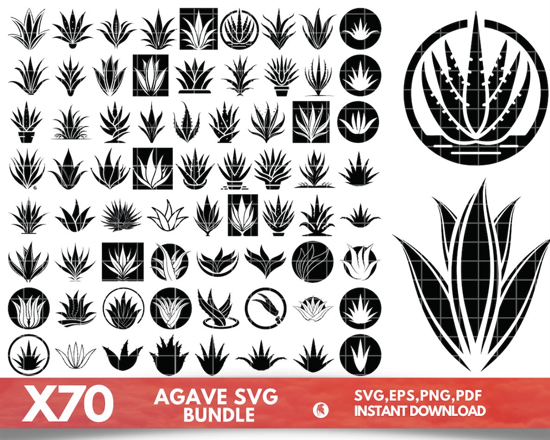 70 Agave SVG Bundle, Agave Dxf, Agave Png, Agave Vector, Agave Outline ...