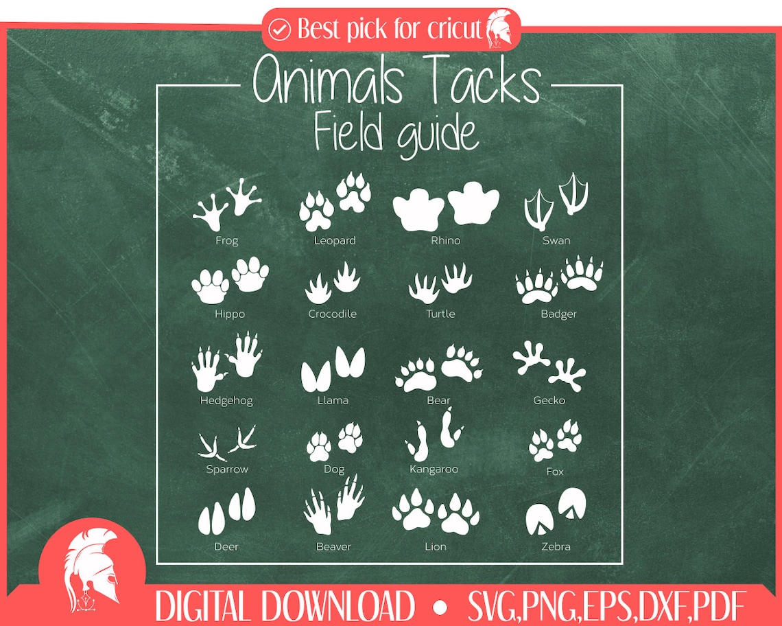20 Animal Tracks Field Guide Sign SVG Nursery Decor Kids - Etsy