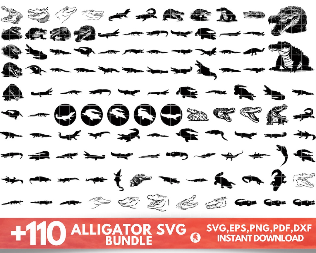 Alligator SVG Bundle, Reptile Svg, Alligator Dxf, Alligator Png ...
