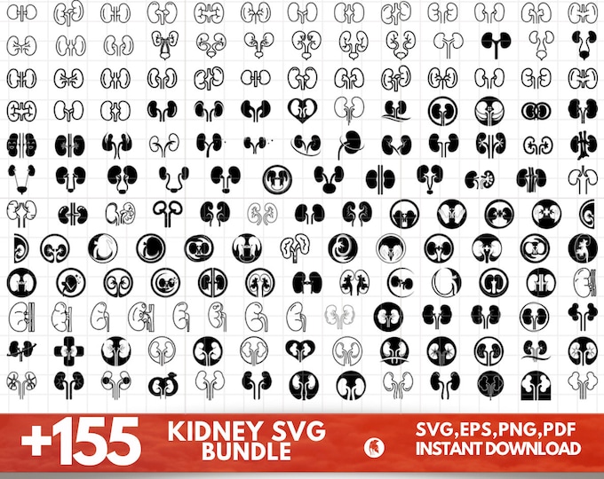 Kidney Fabric Kidneys and Bladder 1/2 Size by Sufficiency Kidney ...