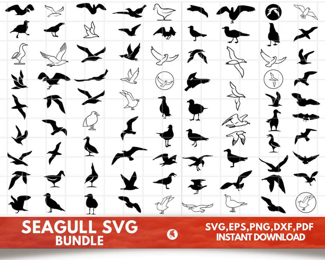 Seagull SVG Bundle - Seagull PNG Bundle - Seagull Clipart - Seagull SVG ...