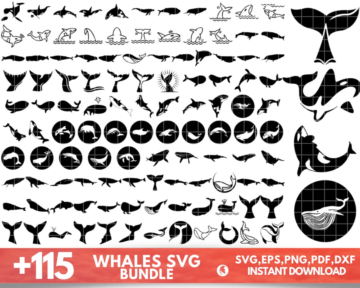 Whale SVG Bundle, Whale Dxf, Whale Png, Whale Eps, Whale Vector, Whale ...