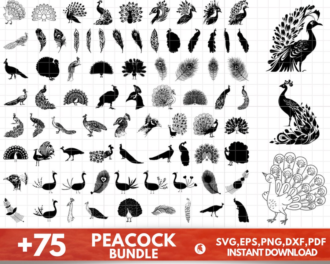 75 Peacock SVG Bundle, Peacock Dxf, Peacock Png, Peacock Eps, Peacock ...