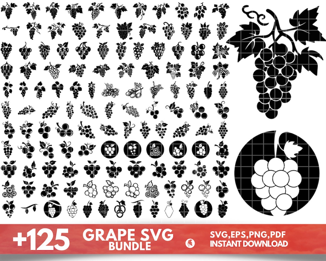 Grape SVG, Wine Svg Bundle, Fruit SVG, Vineyard Cut File, Wine SVG, Grape Cricut, Grape Vector ...