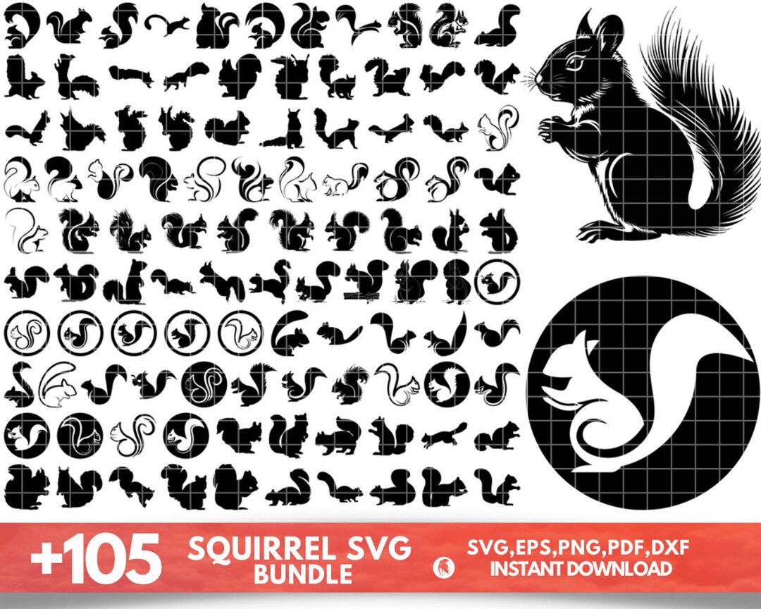 Squirrel SVG/ Squirrel Silhouette/ Squirrel Vector/ Clipart/ Printable ...