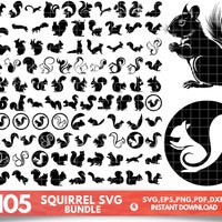 Squirrel Svg - Etsy