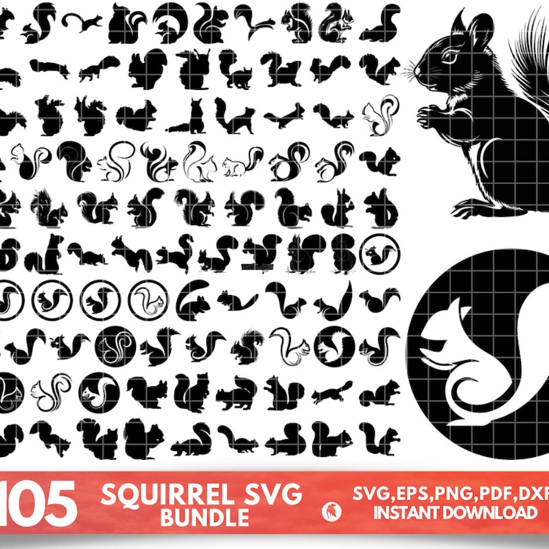Squirrel Svg - Etsy