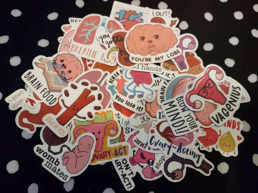 Funny Organ Stickers | Organ Stickers | Anatomy Stickers | Funny ...