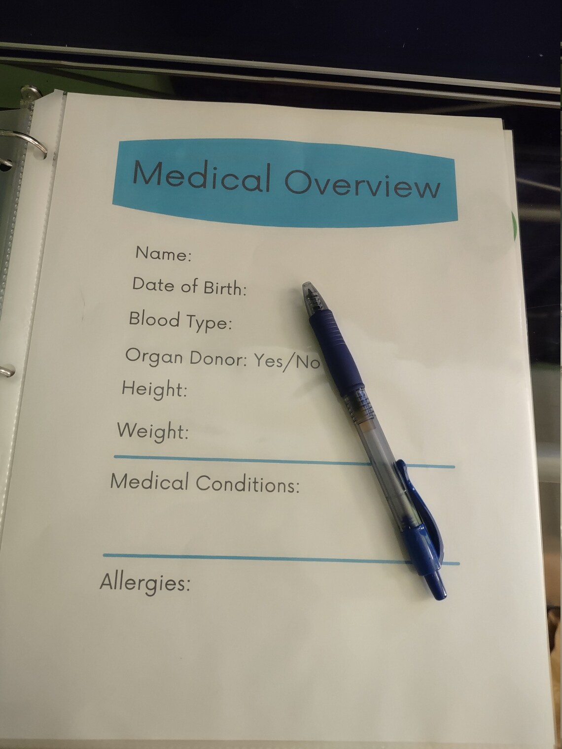 Medical Overview Information Sheet | Health Information Sheet - Etsy
