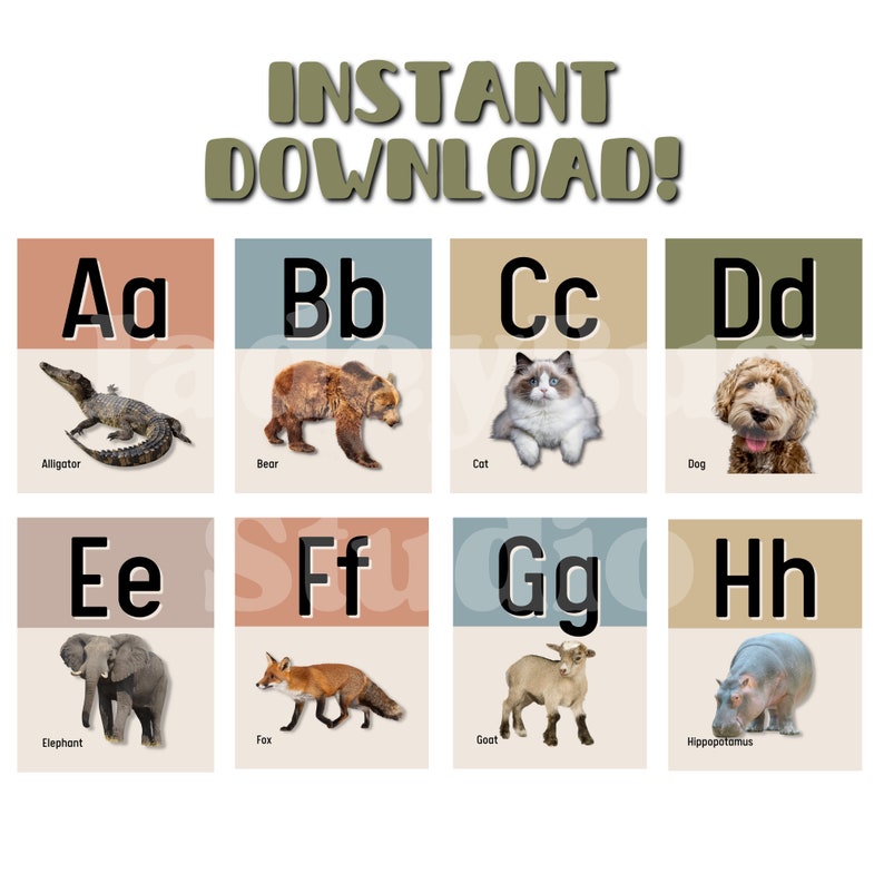 BOHO Alphabet/abc Boarder for Classroom or Home! REAL Animal Pictures ...