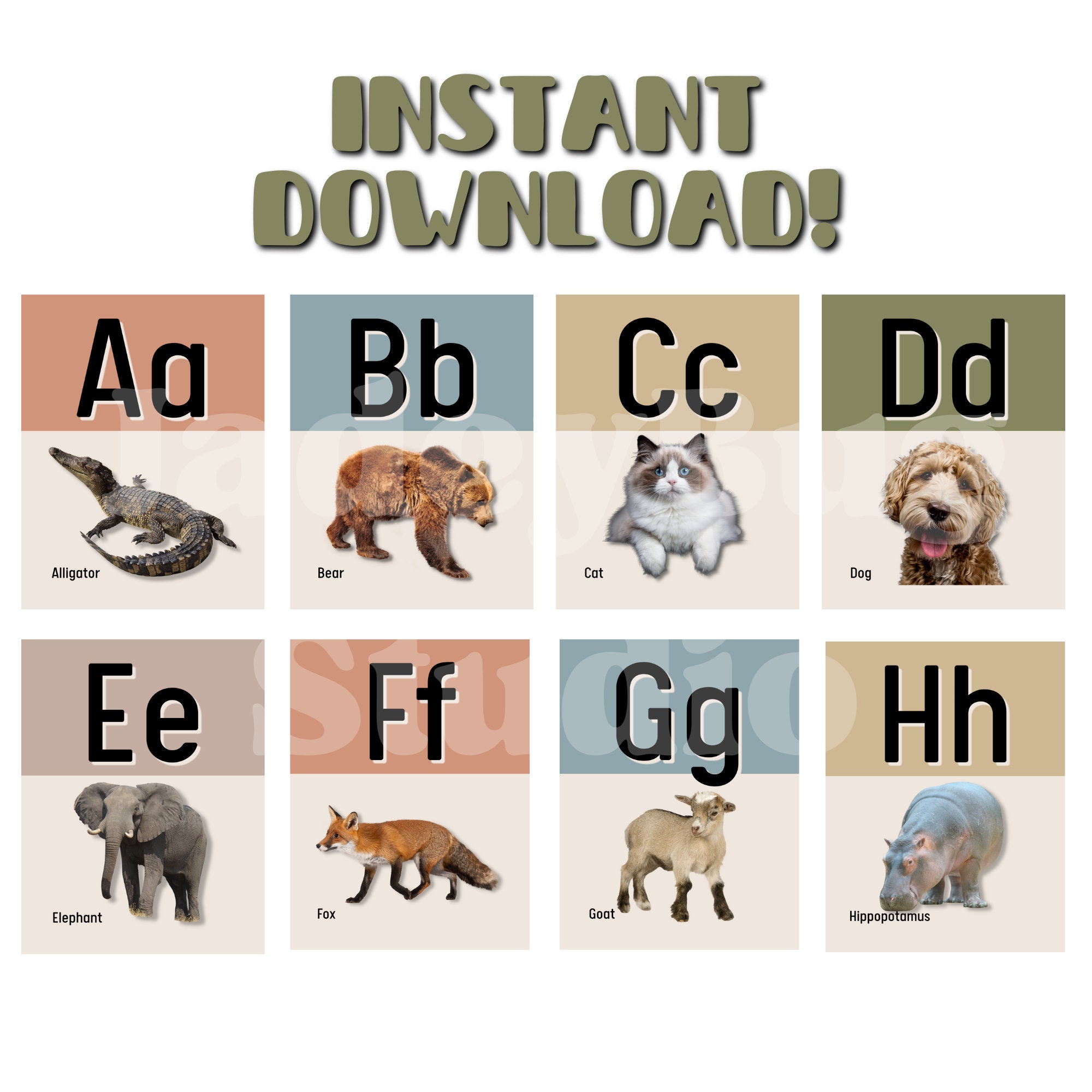 BOHO Alphabet/abc Boarder for Classroom or Home! REAL Animal Pictures ...