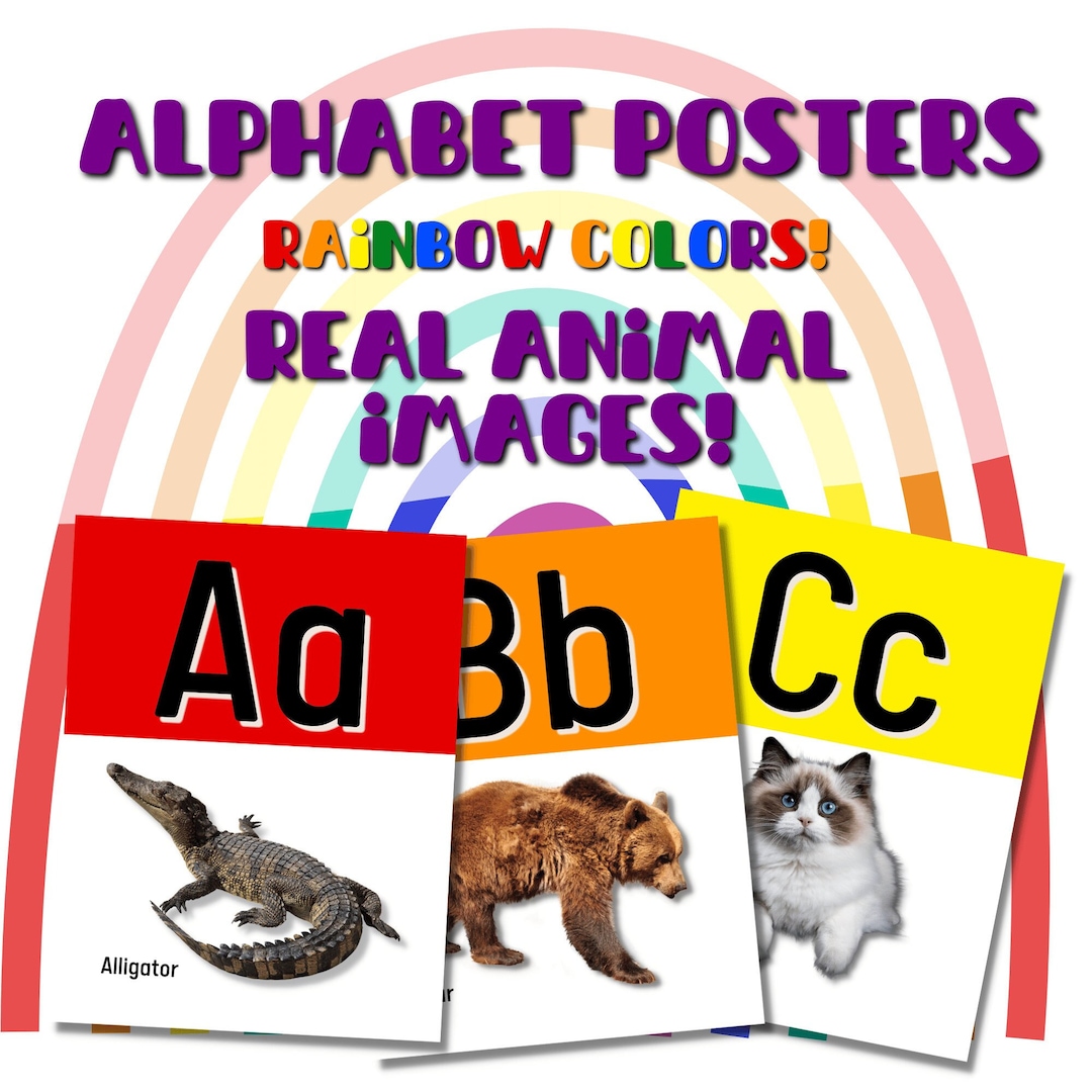 RAINBOW Alphabet/abc Boarder! REAL Animals! Rainbow Classroom ...