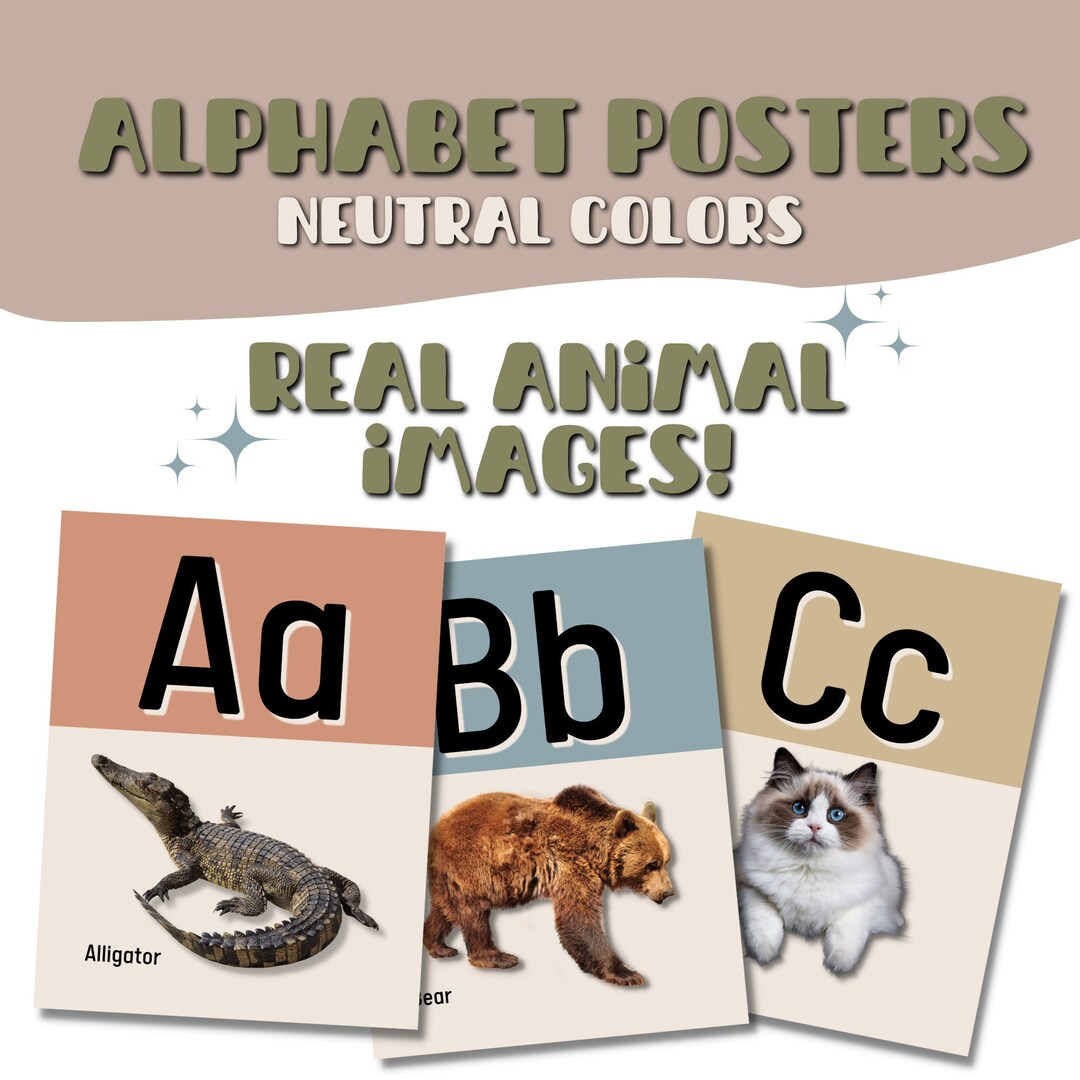 BOHO Alphabet/abc Boarder for Classroom or Home! REAL Animal Pictures ...