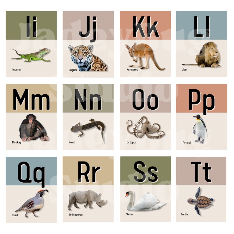 BOHO Alphabet/abc Boarder for Classroom or Home! REAL Animal Pictures ...