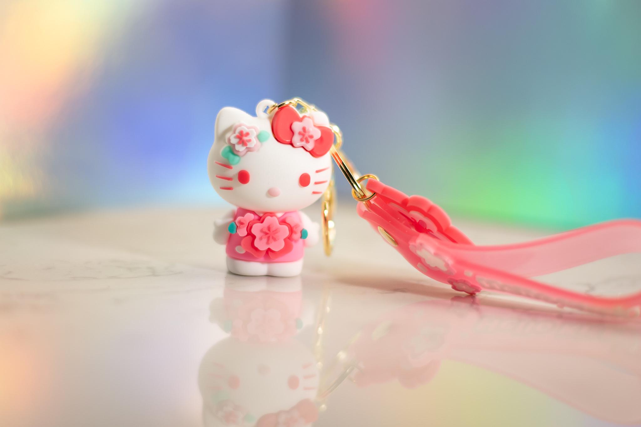 Hello Kitty 3D Characters Keychains - Etsy