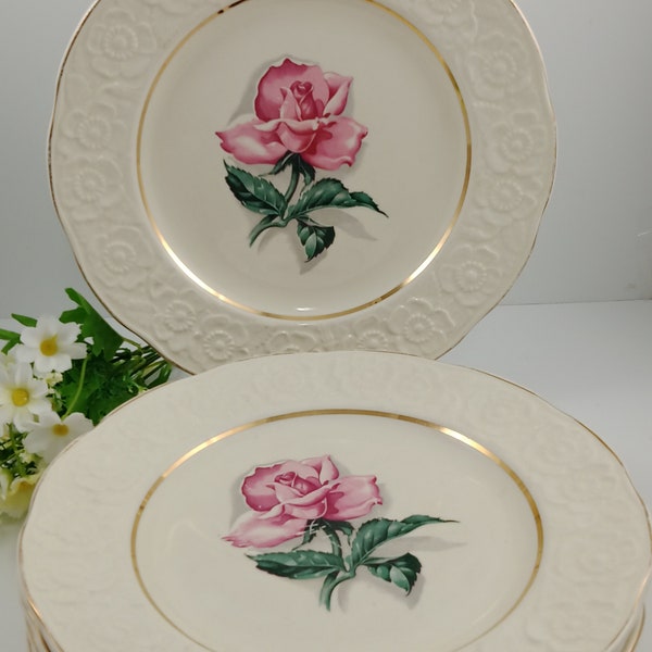 Sovereign Potters Earthenware - Etsy Canada