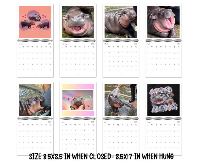 2025 Moo Deng Hippo Calendar Monthly Cute & Funny Hippo Photos Perfect ...