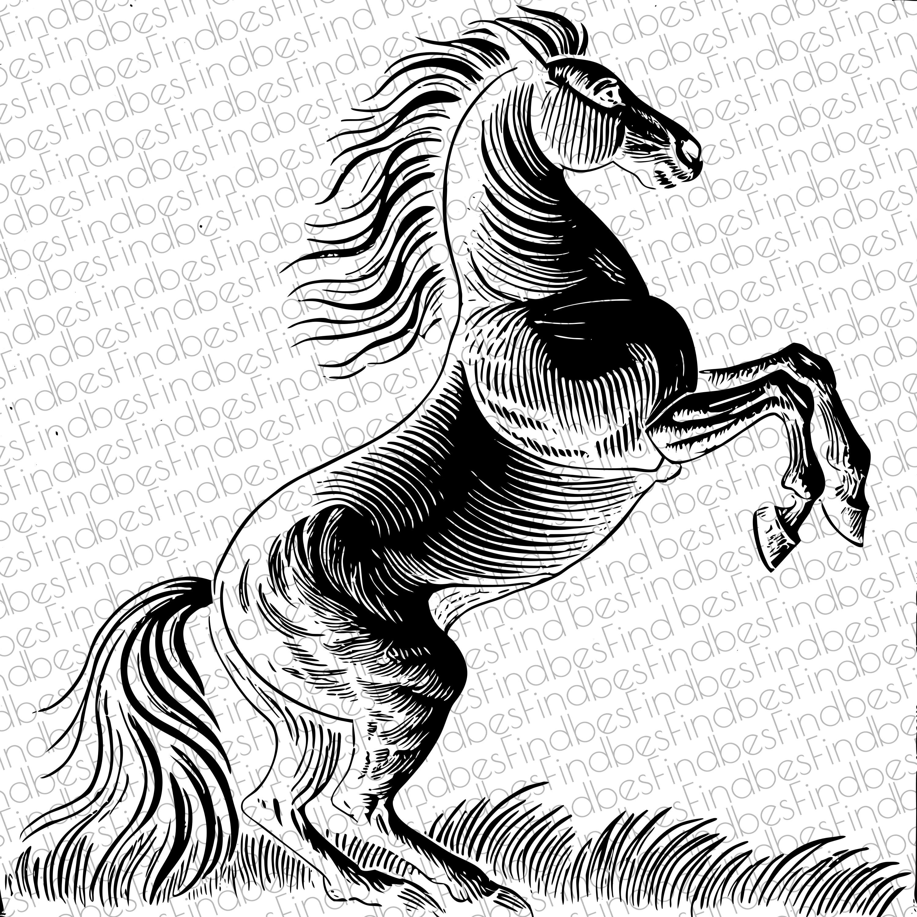 Rampant Horse Pattern (SVG, JPG , PNG , Json) Digital Drawing, Rampant ...