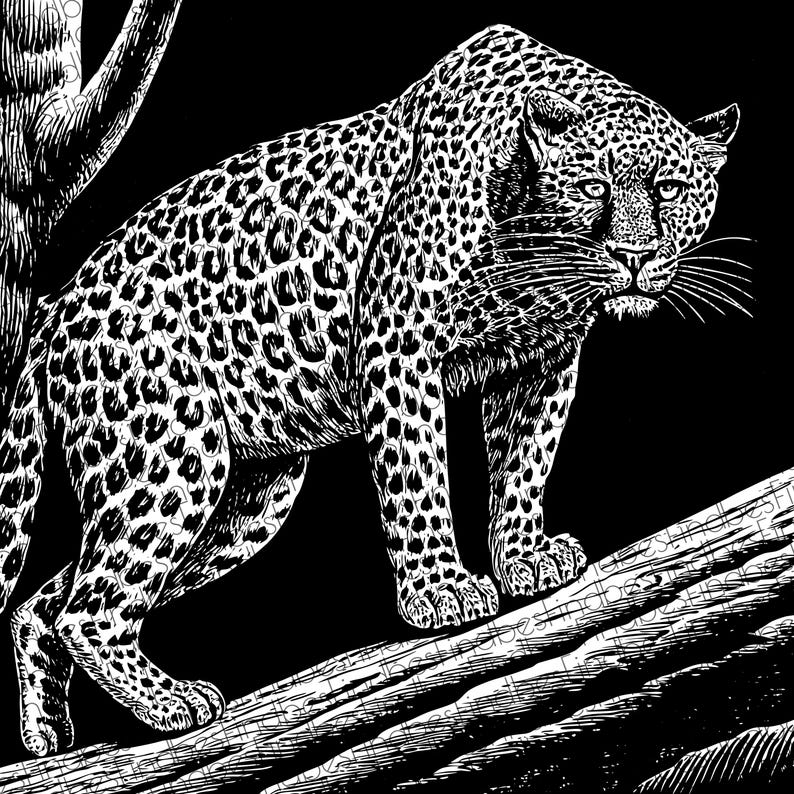 Leopard Pattern (SVG, JPG , PNG , Json) Digital Drawing, Leopard ...