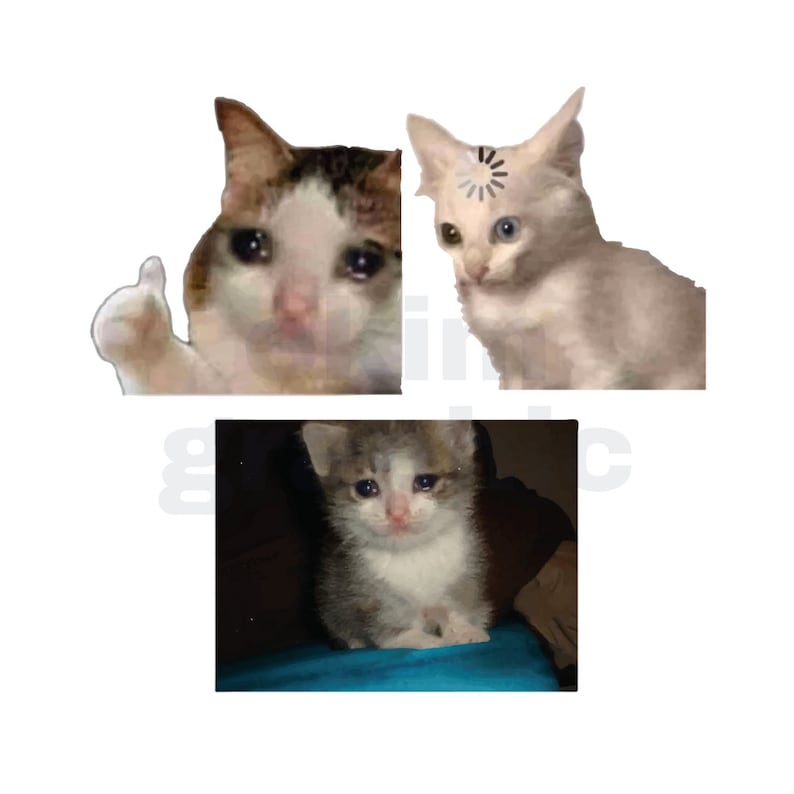 Funny Cats Bundle 11 Packs SVG PNG JPG Crying Cat Funny Meme Digital Download Sticker - Etsy
