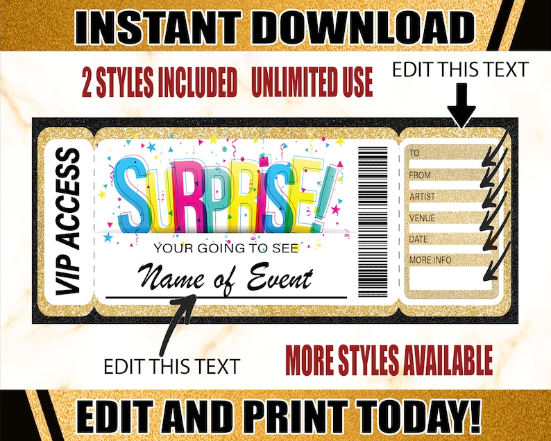 Surprise Concert Ticket Concert Ticket Gift Ticket for - Etsy