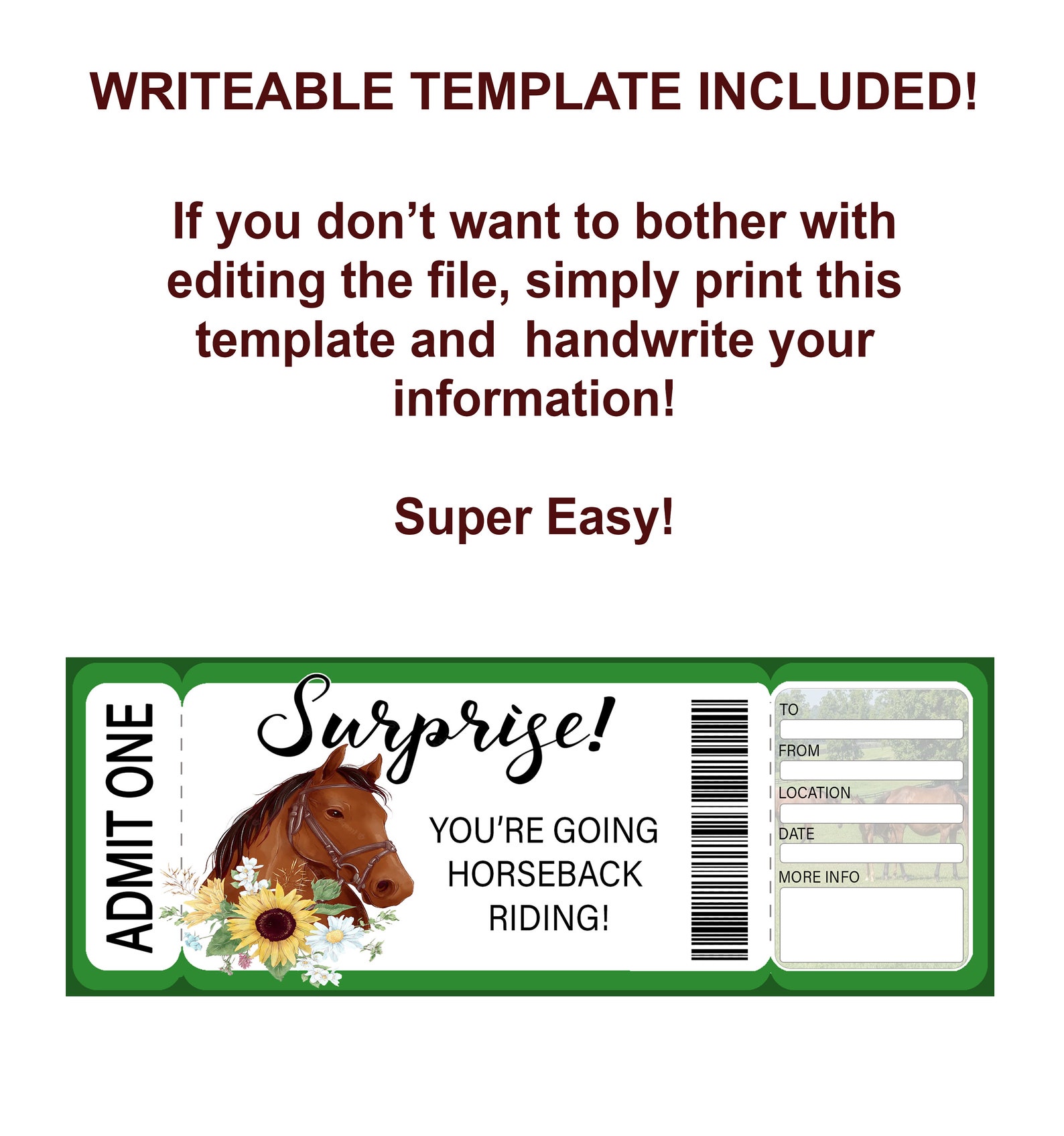 Horseback Riding Gift Certificate Ticket Printable Surprise | Etsy