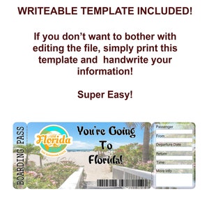 Florida Boarding Pass Ticket, Trip to Florida, Printable Airline Ticket ...