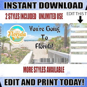 Florida Boarding Pass Ticket, Trip to Florida, Printable Airline Ticket ...