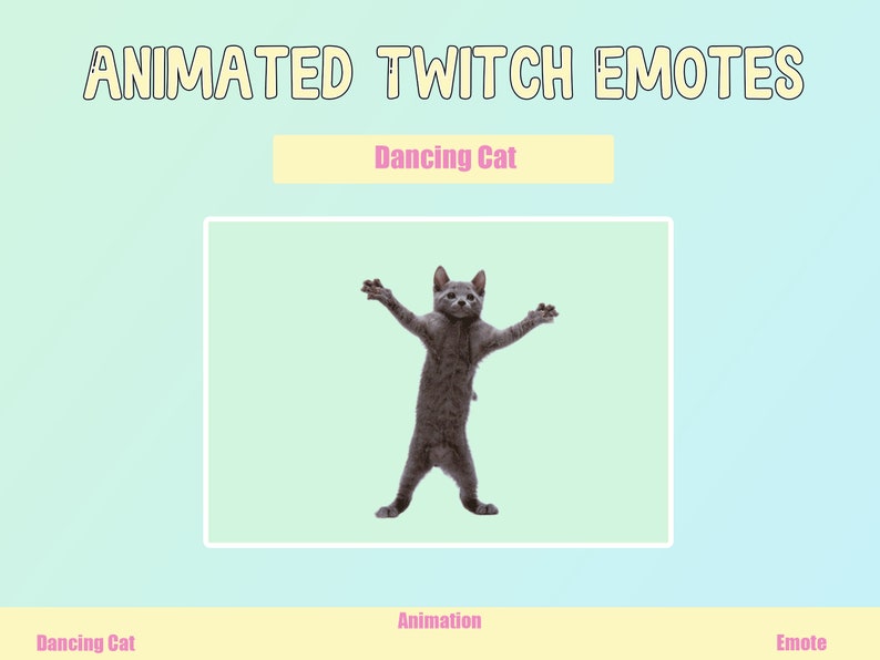 Twitch Emote Animated Dancing Cat Funny Meme Emote - Etsy Ireland