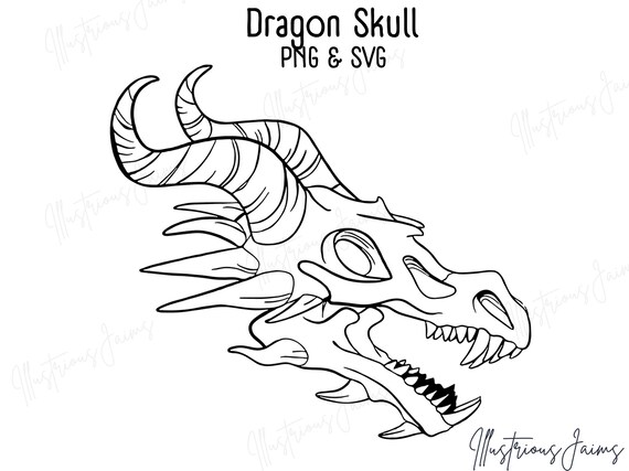 Dragon Skull Drawings