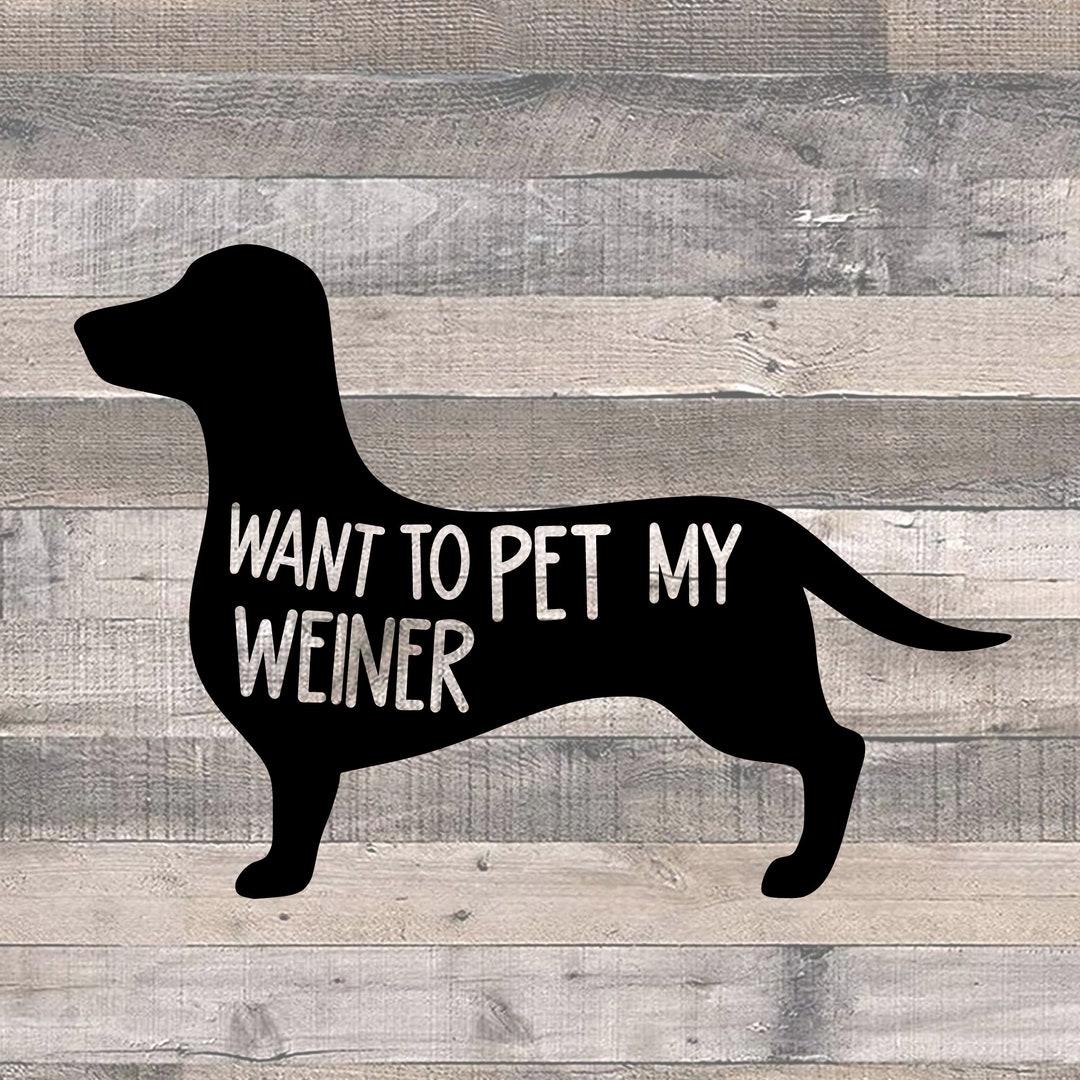 Want to Pet My Weiner SVG, Funny Weiner Dog SVG, Weiner Dog SVG, Weiner ...