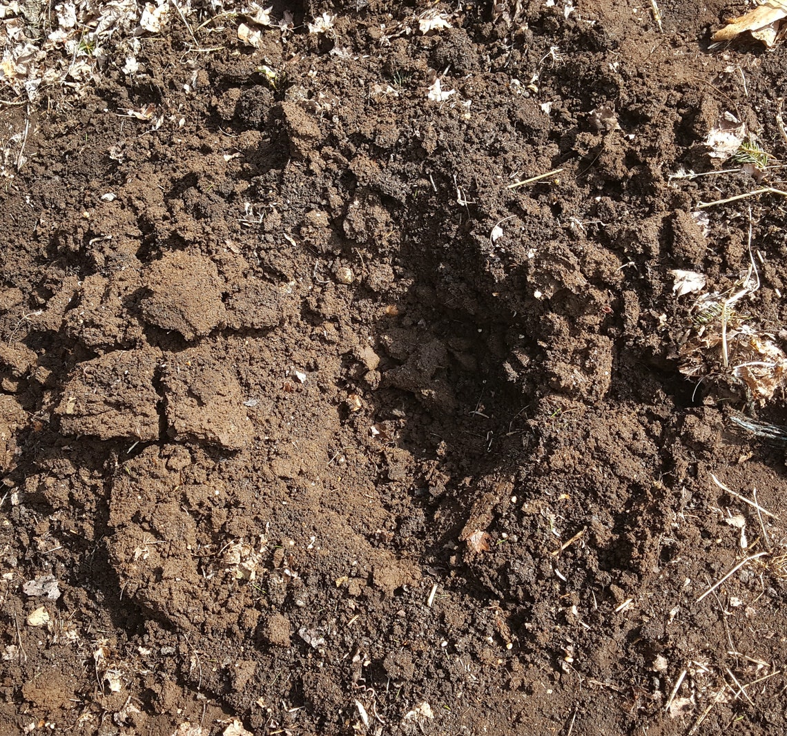 New Lower Pricing! 10 Pounds of Alpaca Manure Compost - Ready to Use ...