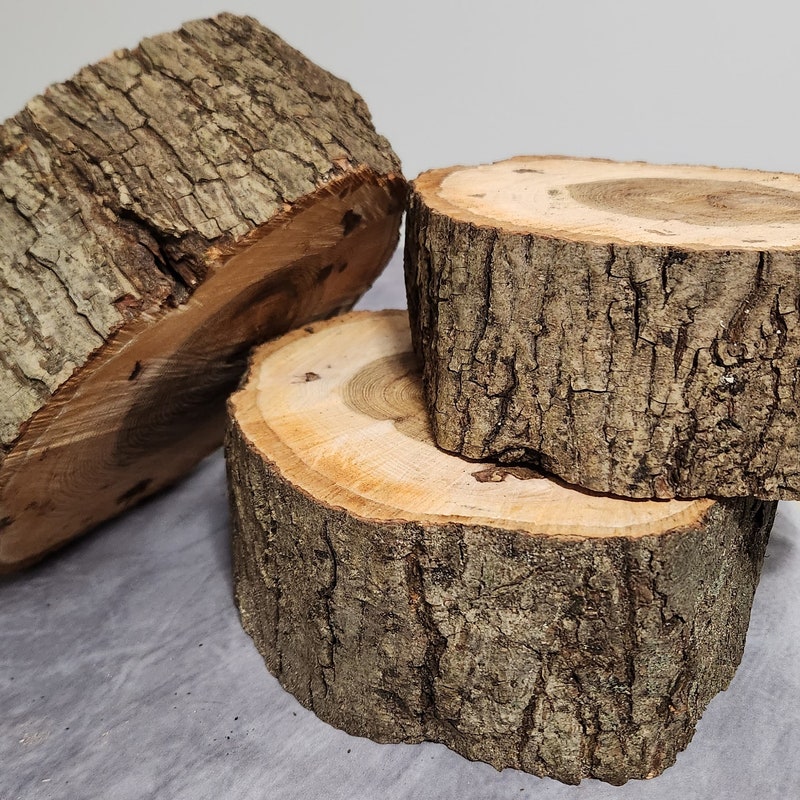 Rustic Wood Slices - Etsy