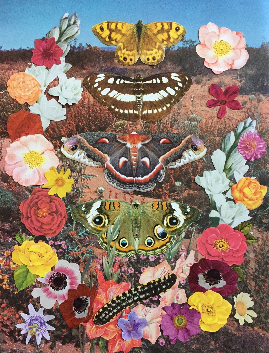 Collage Print - “summer Bloom” - Etsy