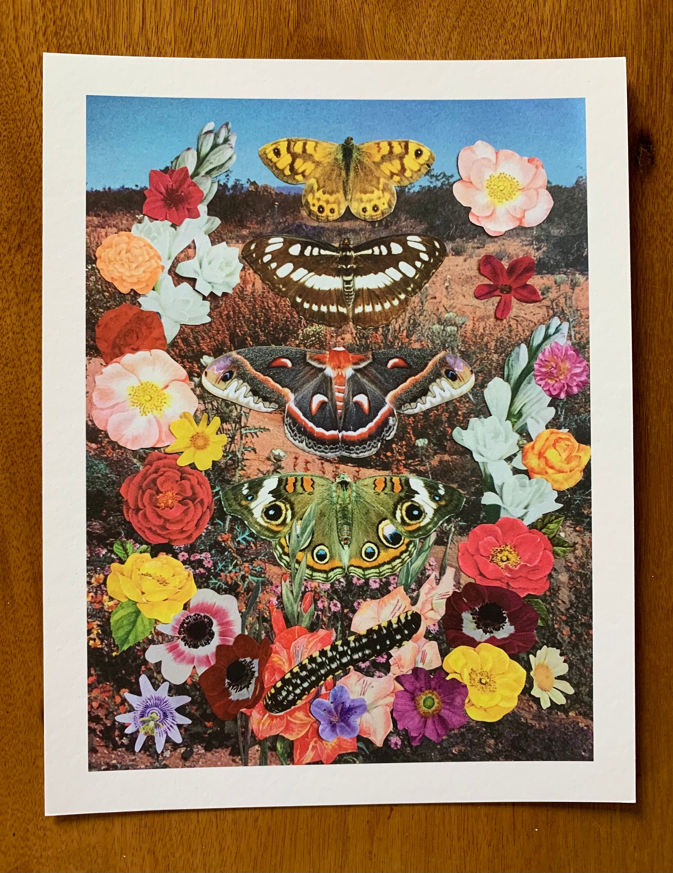 Collage Print - “summer Bloom” - Etsy