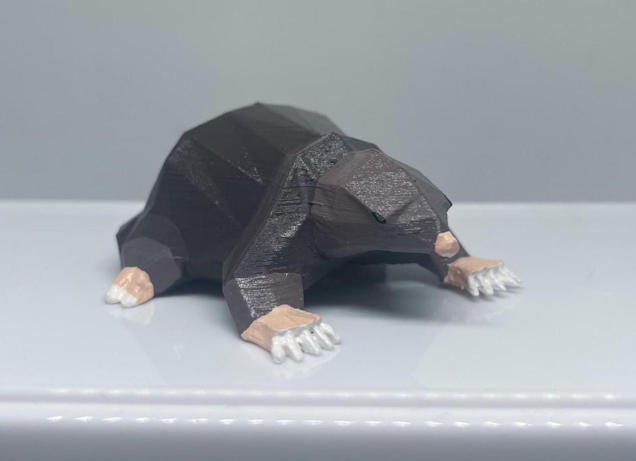 Old School Runescape Giant Mole & Baby Mole-rat Pet 3D Printed Hand ...