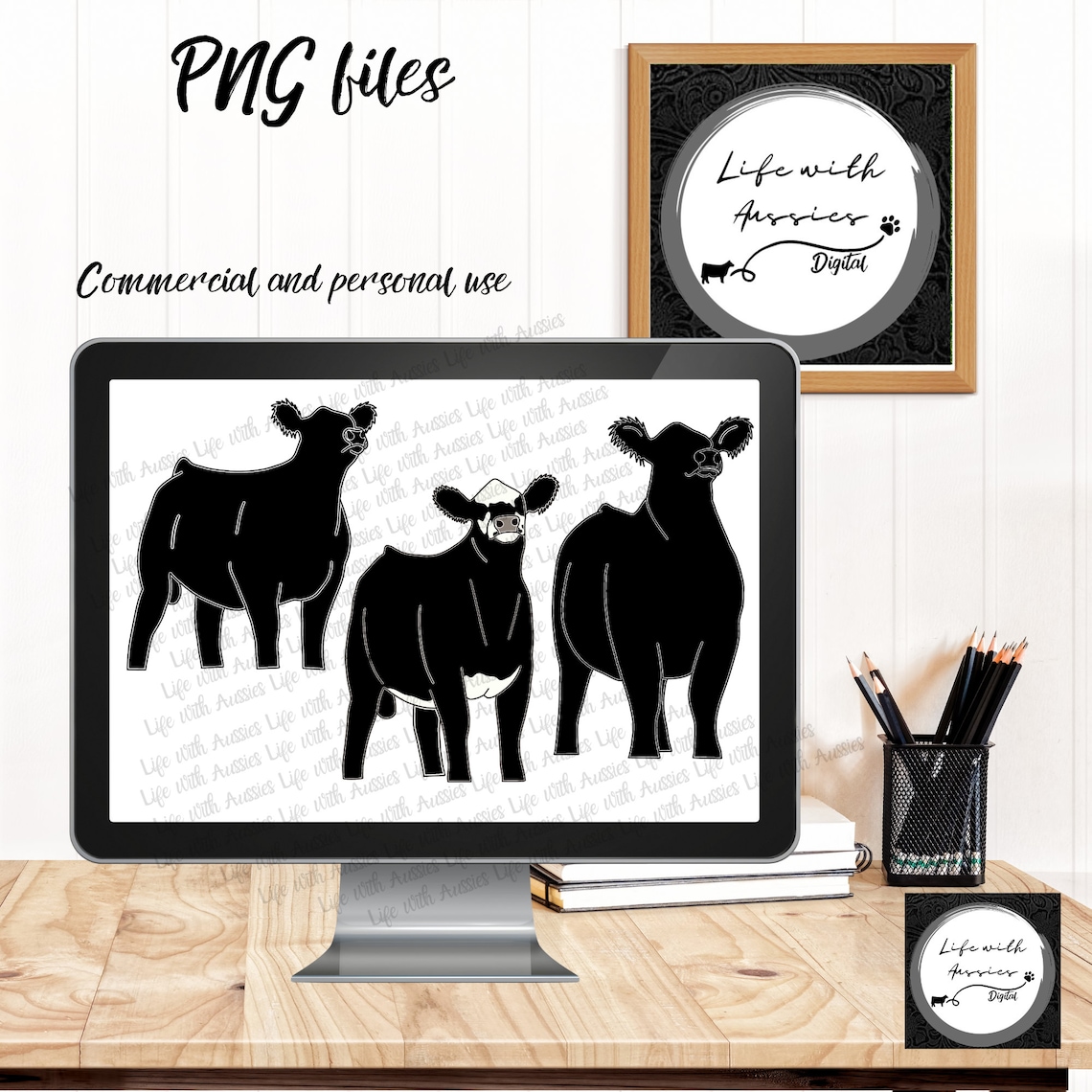 Bundle Front Facing Cows, Show Cattle, Heifer, Showing Livestock, Steer ...