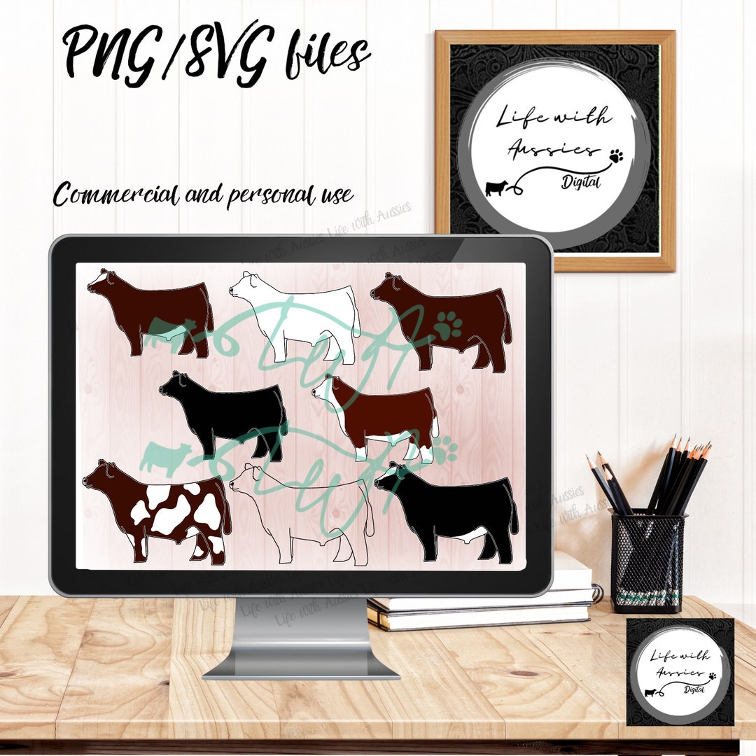 Bundle of 8 Show Steers, Show Cattle, Stock Show, Instant Digital ...