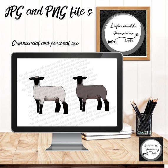 Show Sheep Lamb Stock Show Instant Digital Download - Etsy