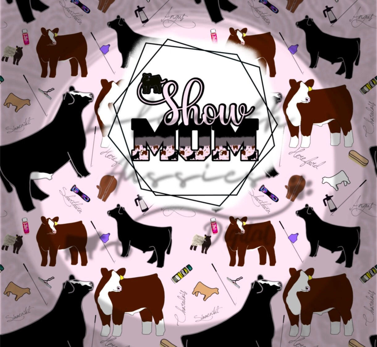 Show Mom With Steers, Png, Jpg, Livestock, Showing, Cattle, Stock Show ...