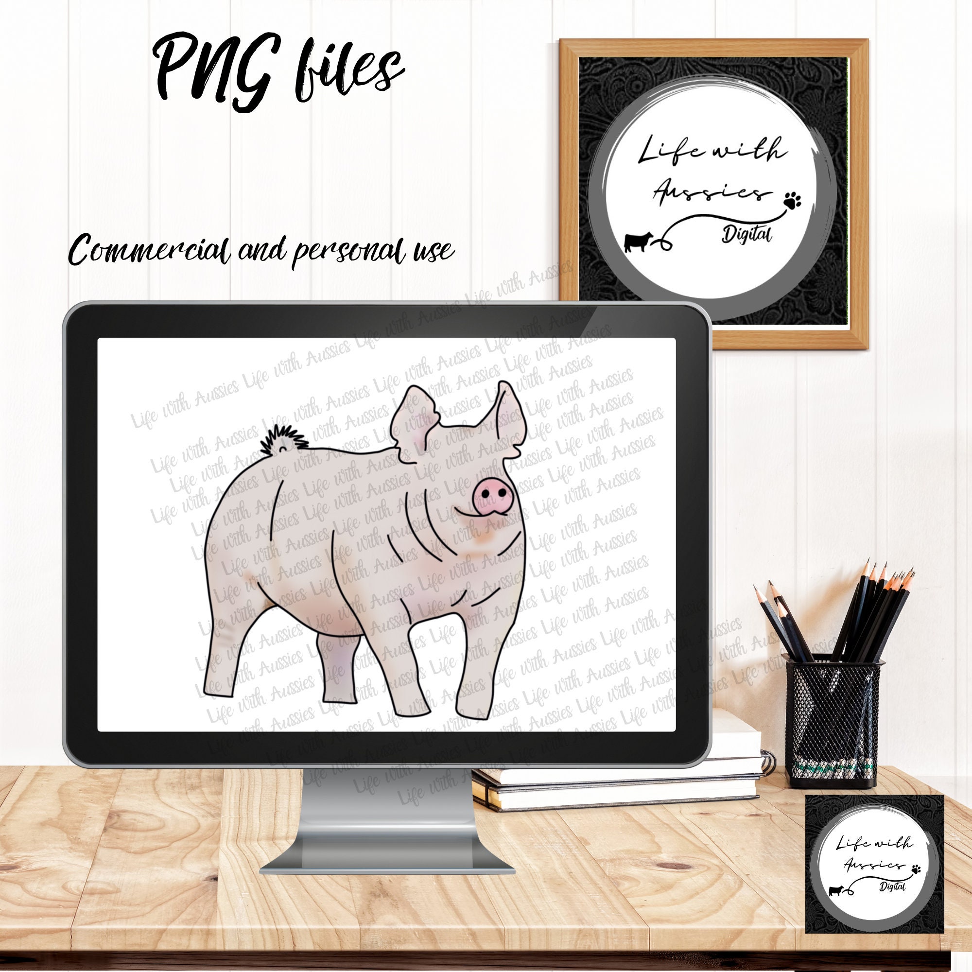 Yorkshire Pig, Show Pigs, Gilt, Barrow, Sow , Stock Show, Instant ...