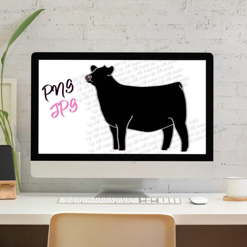 Black Show Heifer, Show Cattle, Stock Show, Instant Digital Download ...