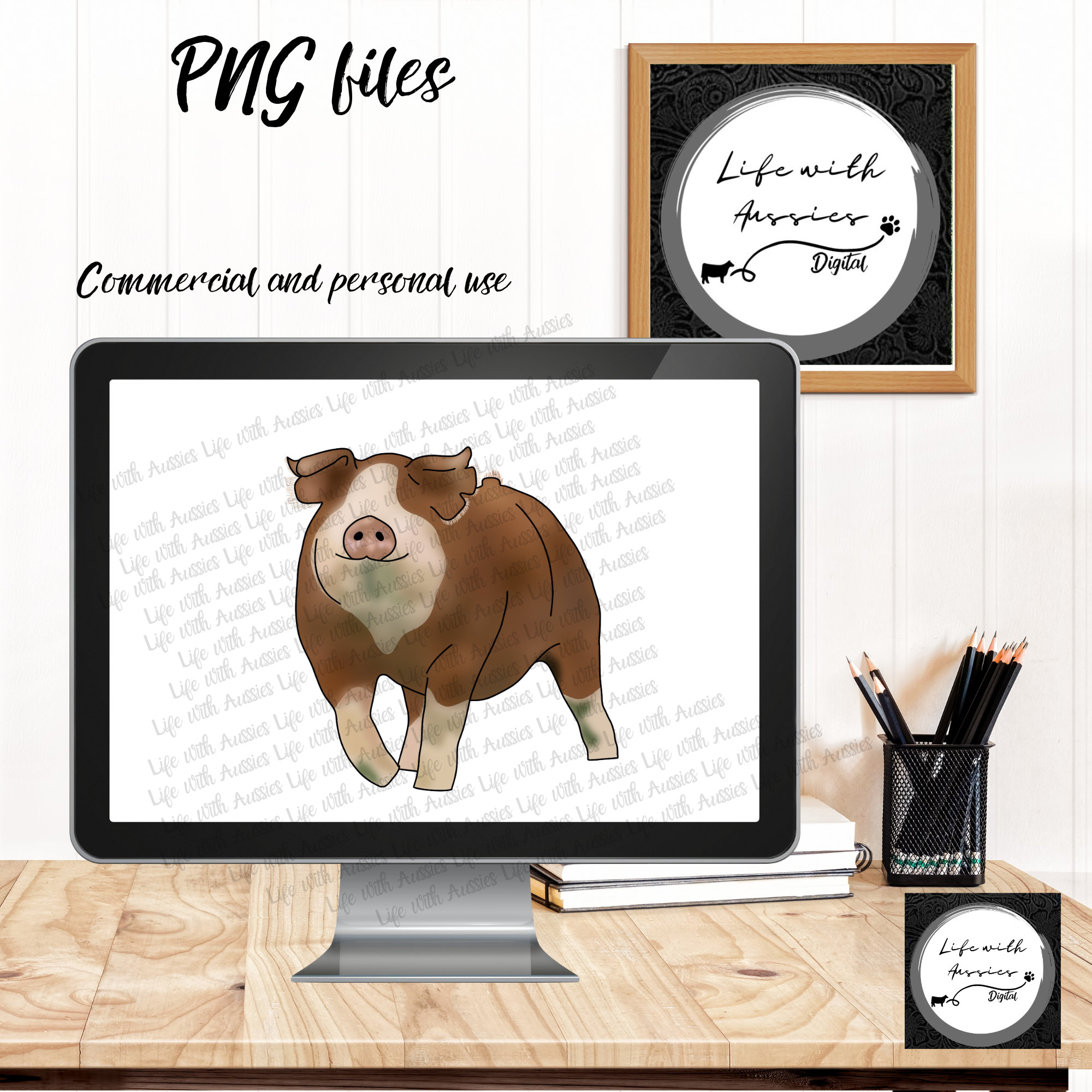 Hereford Pig, Show Pigs, Gilt, Barrow, Sow , Stock Show, Instant ...