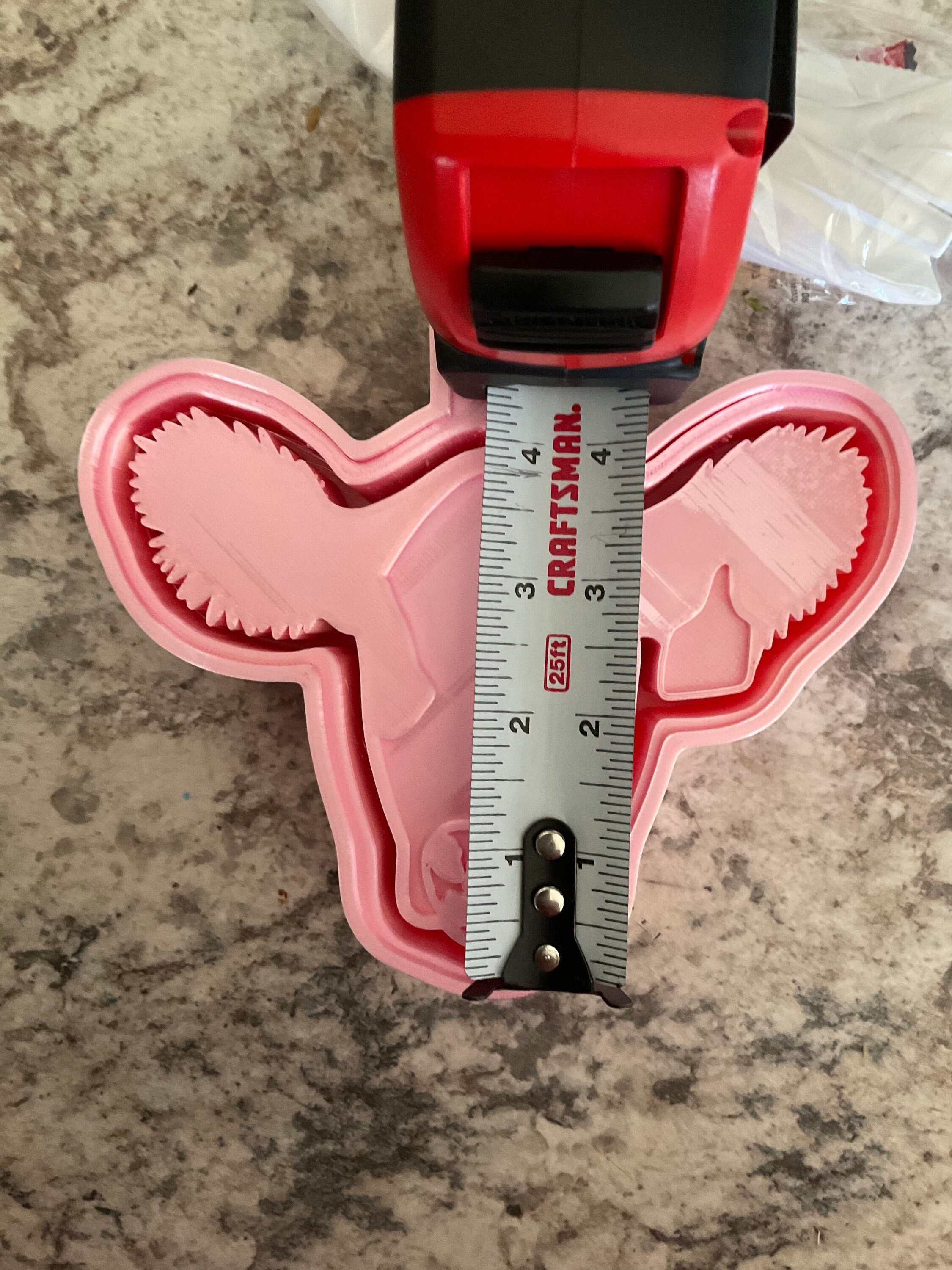 5 Inch Heifer Face Freshie Mold, Stock Show, Showing Livestock, Market ...