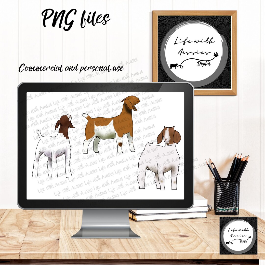 Bundle Goats, Boar Goat, Stock Show, Show Goat, Instant Digital ...