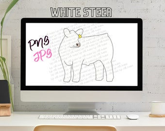 Front Faced Cow Show Cattle Heifer Showing Livestock - Etsy