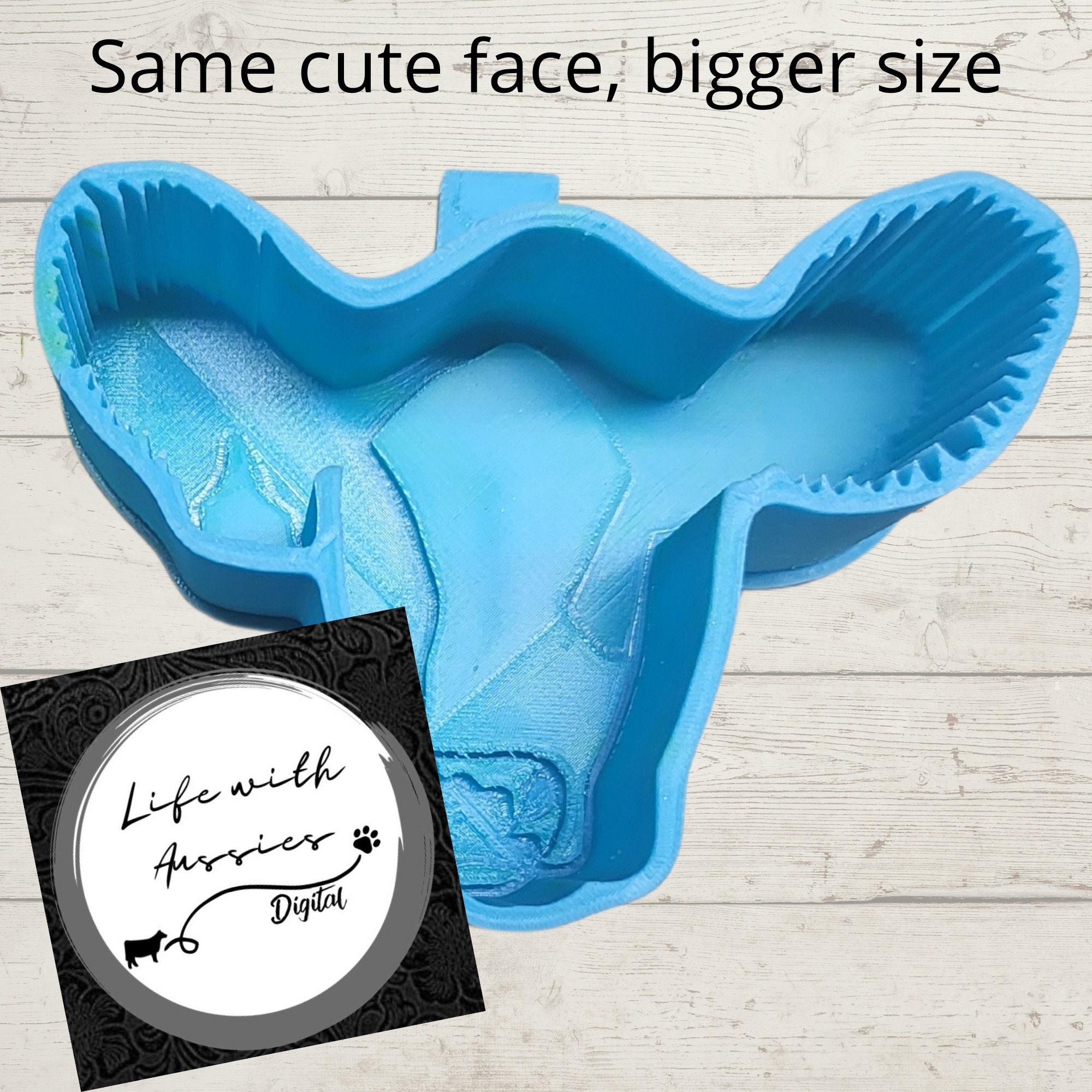 5 Inch Heifer Face Freshie Mold, Stock Show, Showing Livestock, Market ...