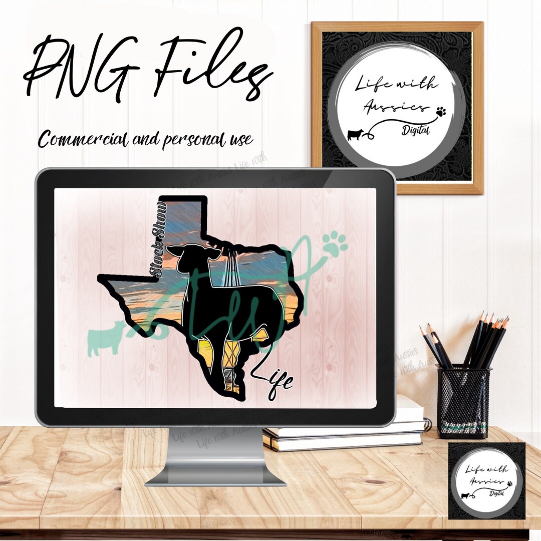 Texas Stock Show Life, Show Lamb, Sheep, Showing Livestock, Show Mom ...